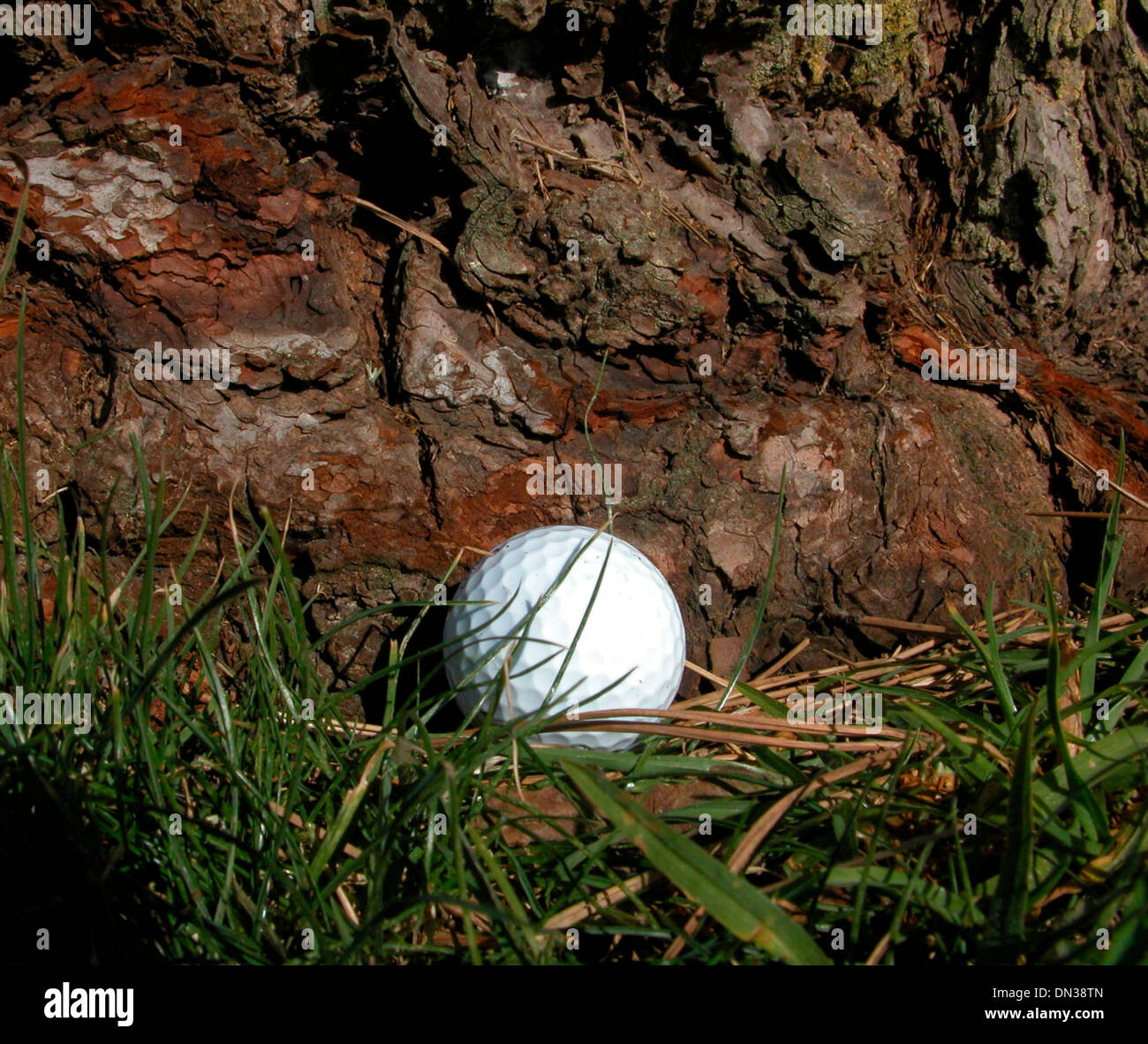 Jan 13, 2006; La Jolla, CA, USA; Buick Invitational 2006, Torrey Pines ...