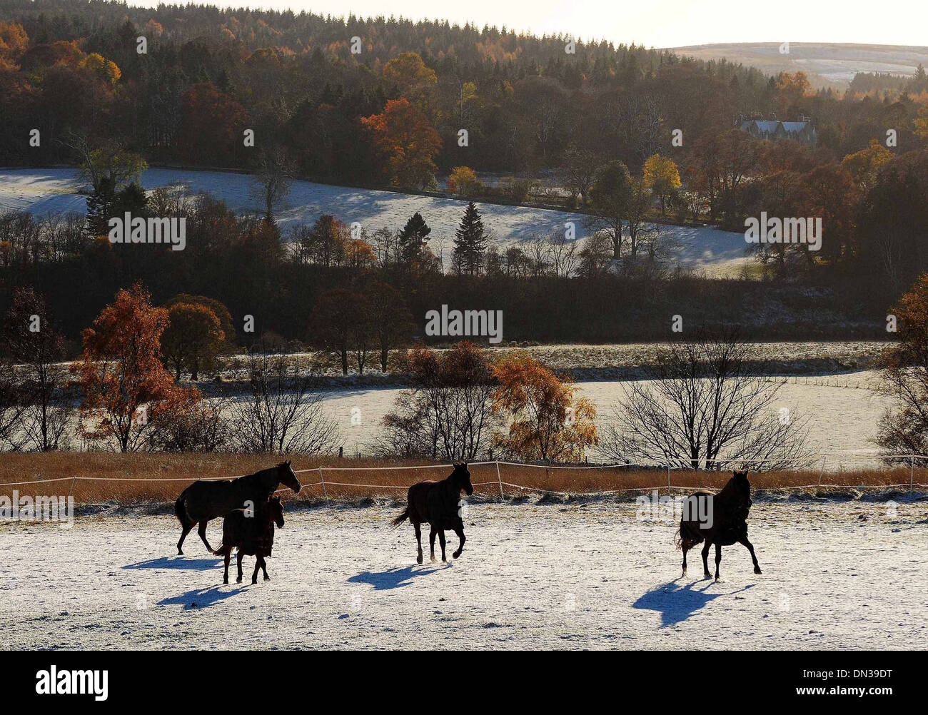 Winter meets autumn in fields outside Aberdeen Stock Photo - Alamy