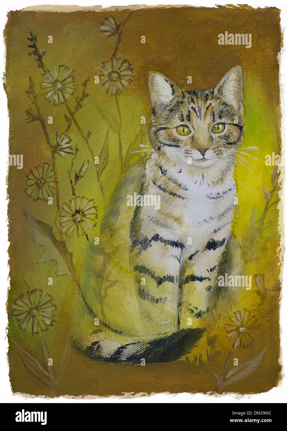 painted european shorthair cat tabby with the M mark on forehead and ...