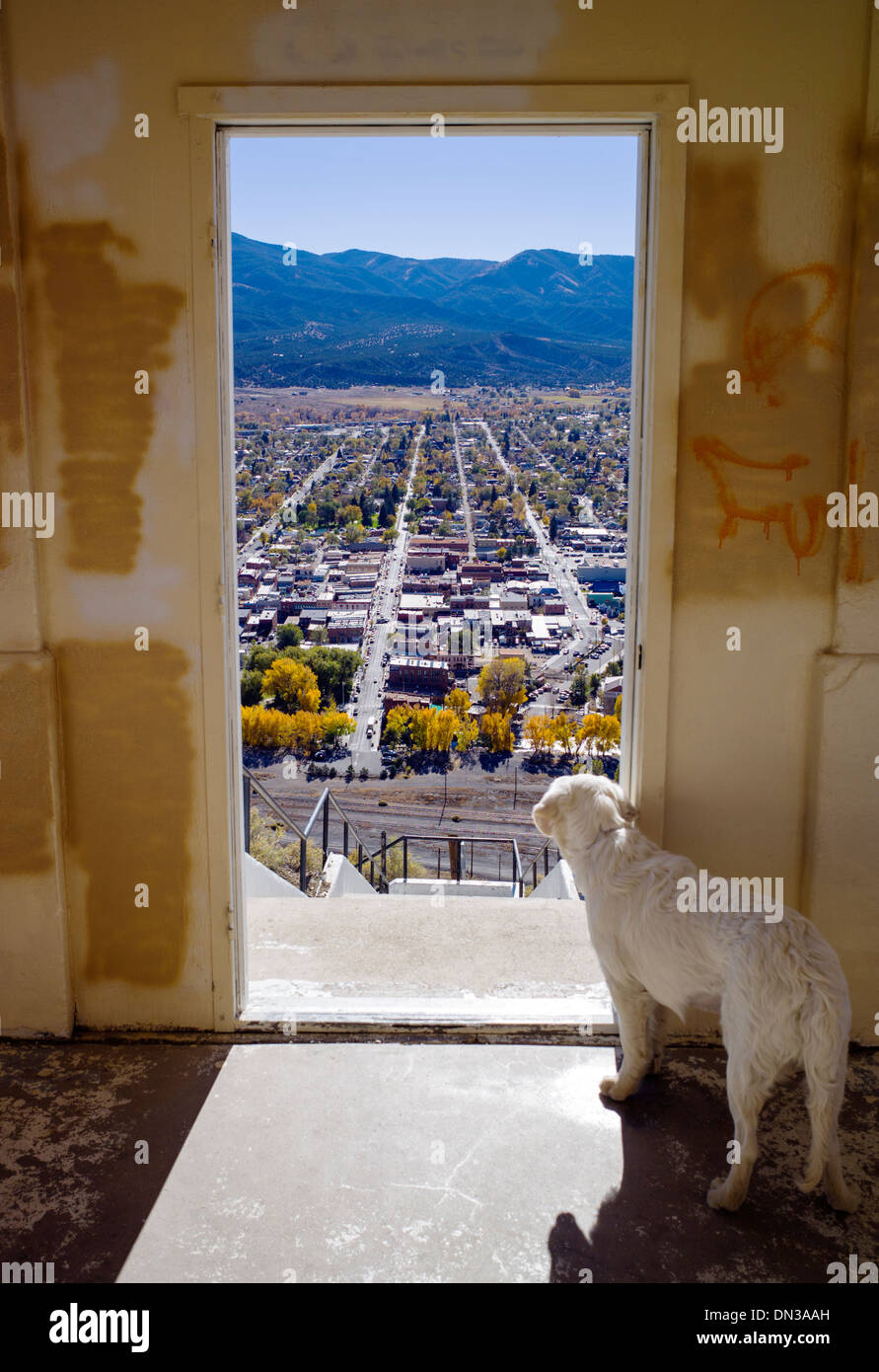Autumn view through door of observation hut above of Salida and the ...