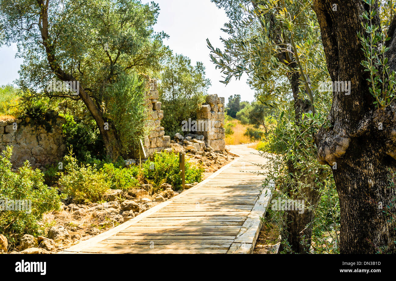 Sedir Island (Turkish: Sedir Adası) ancient city of Kedriai, also known ...