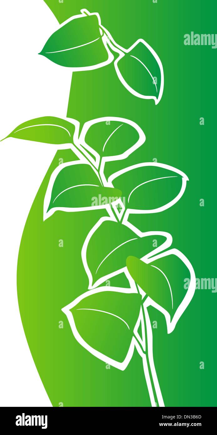 Nature background ivy leaves Stock Vector Images - Alamy