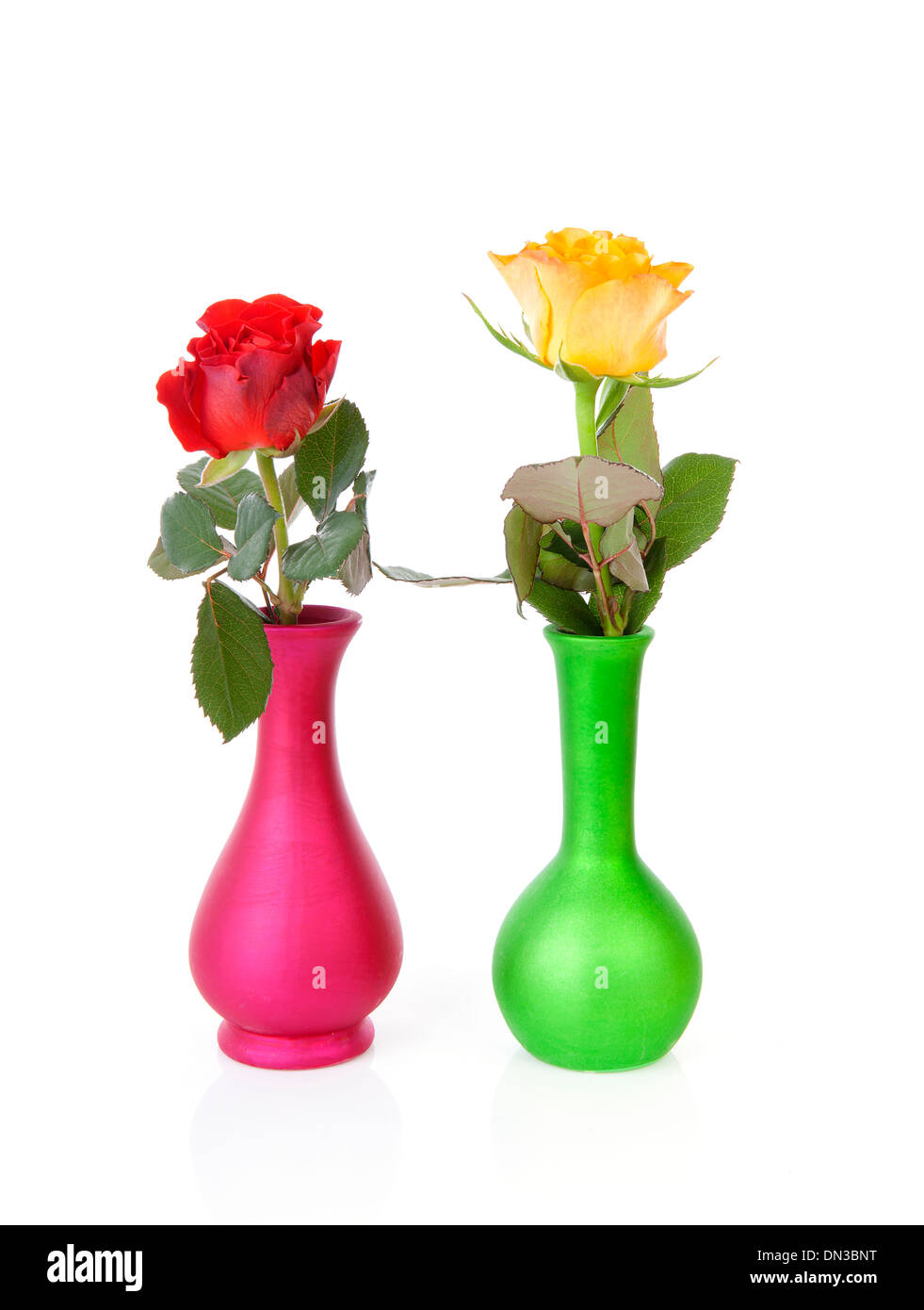Colorful roses in vases over white background Stock Photo - Alamy
