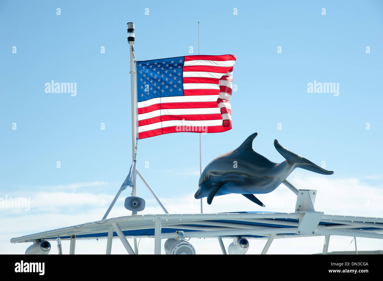 Flying dolphin and stars and stripes flag on roof of a tour boat Stock ...