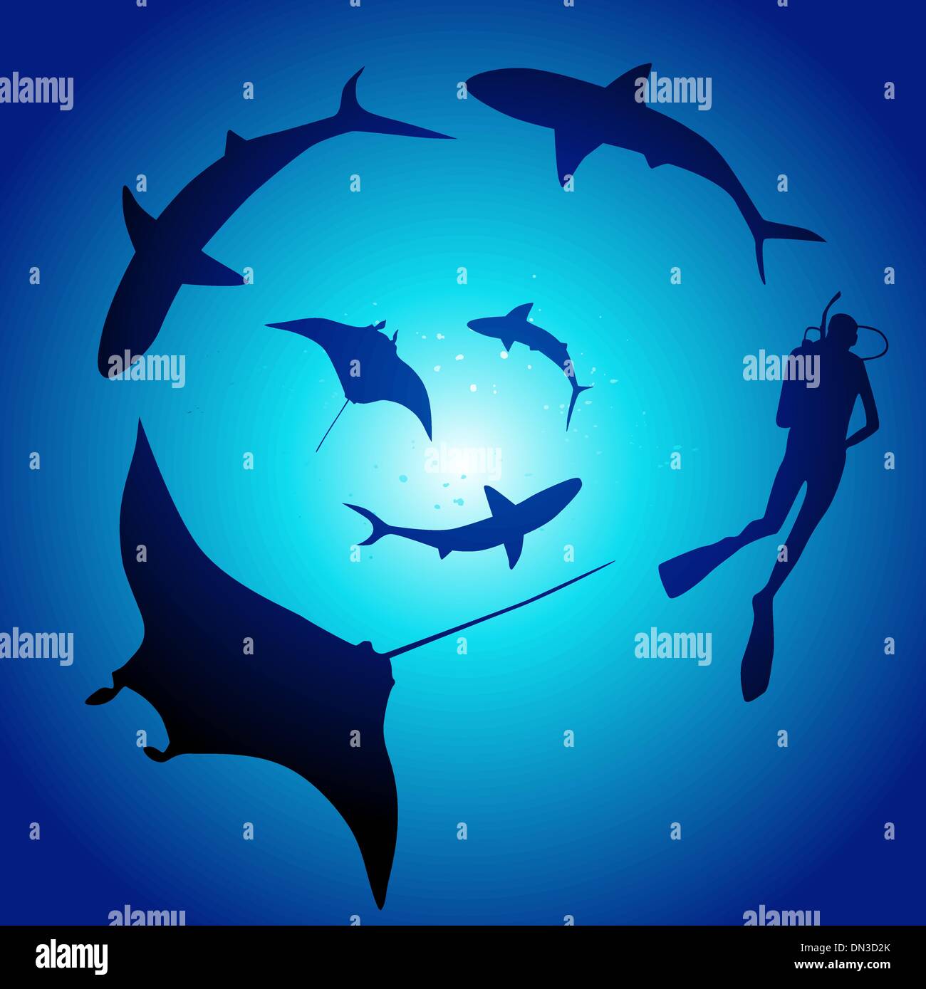 Sharks Stock Vector Images - Alamy