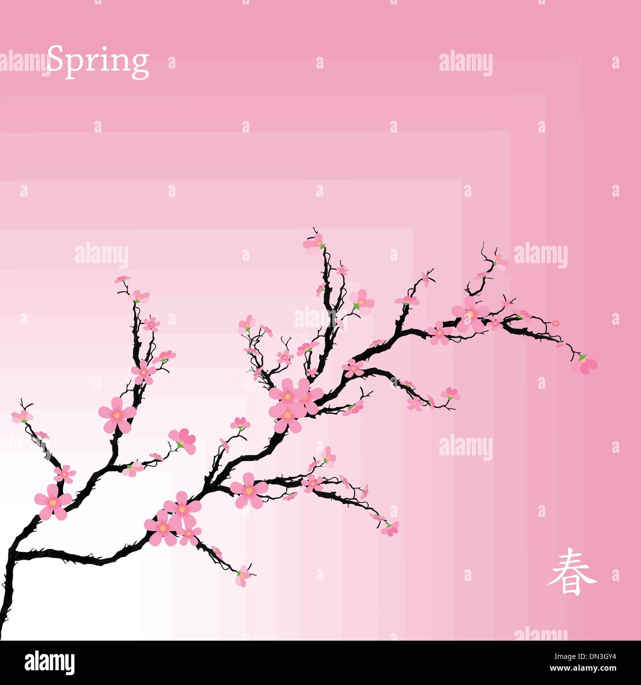 Spring Cherry Blossoms Stock Vector Image & Art - Alamy