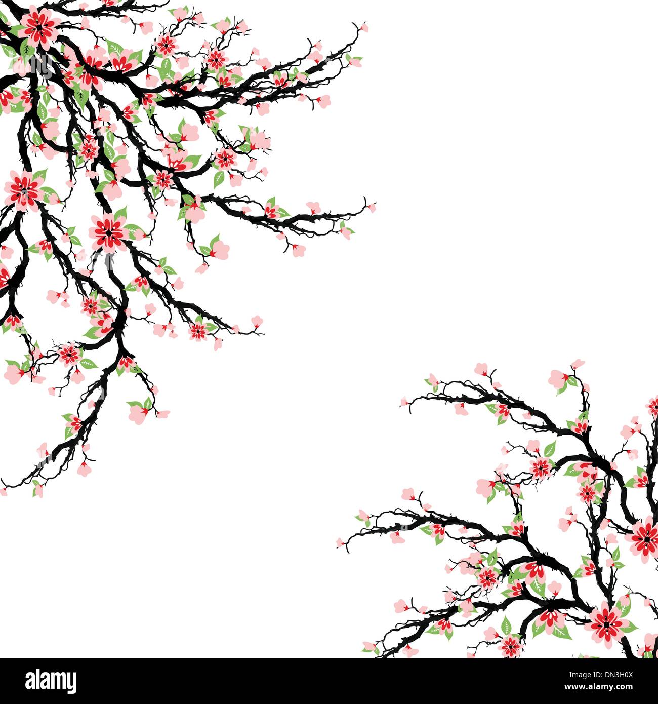 Red white cherry blossoms cherry Stock Vector Images - Alamy