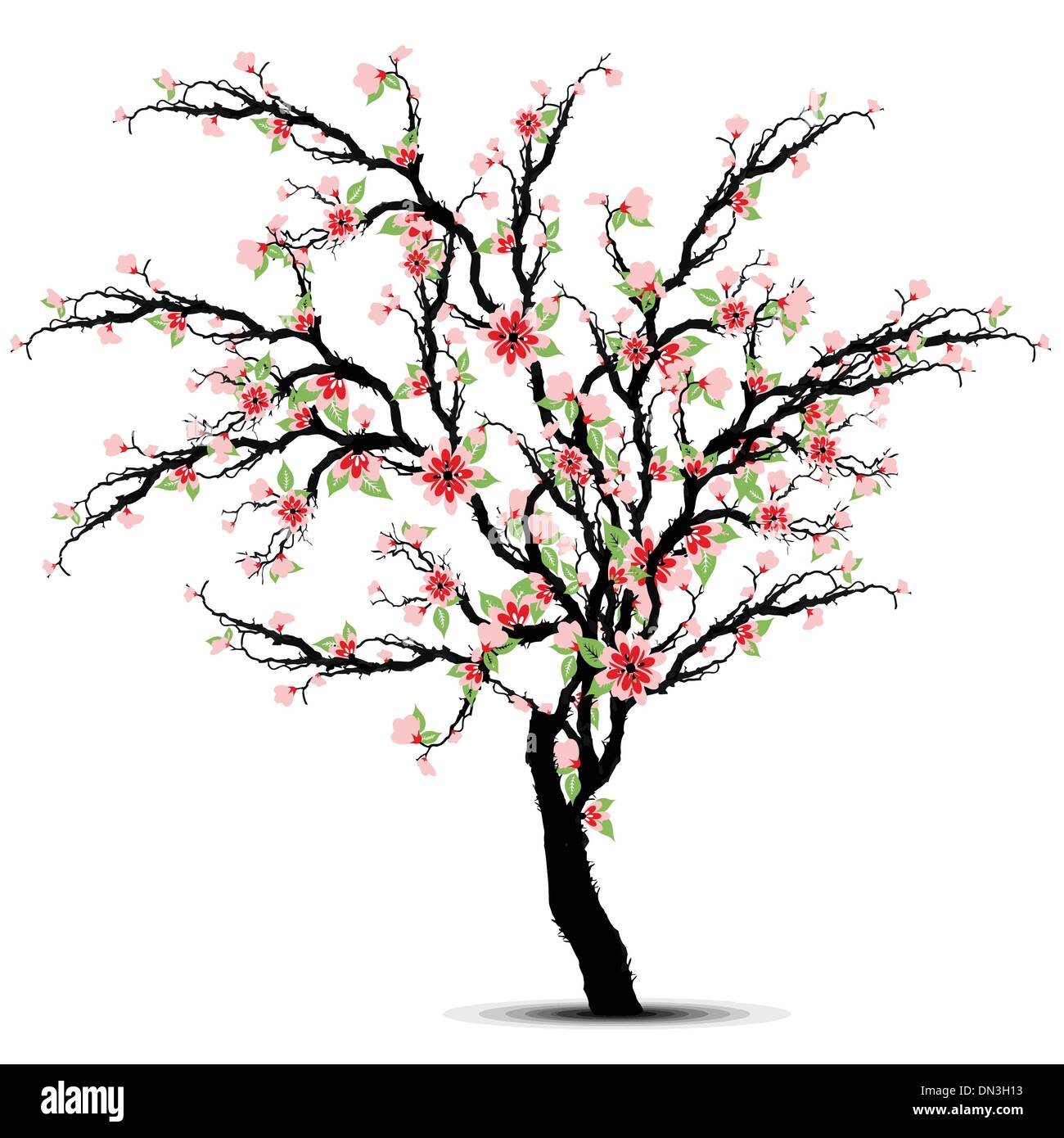 Vector blossoms Cut Out Stock Images & Pictures - Alamy