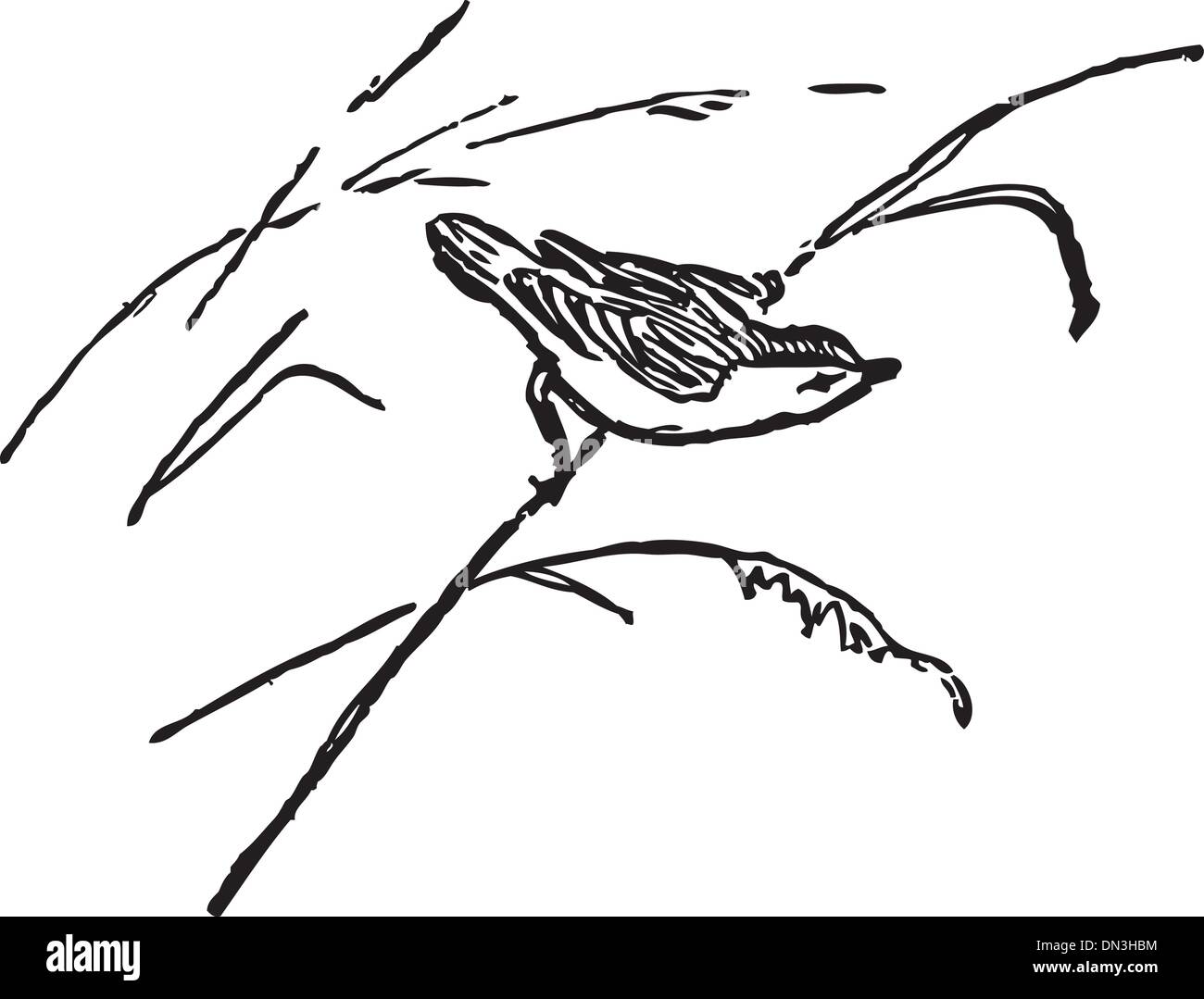 Willow bird Stock Vector Images - Alamy