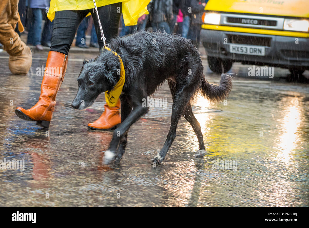 People and their pet dog Stock Photo - Alamy