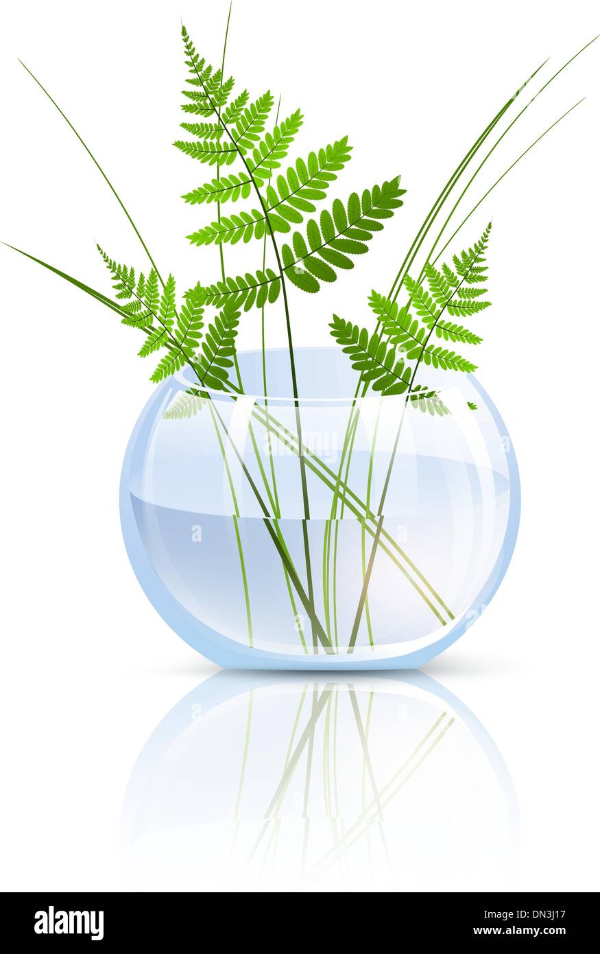 Fern vase hi-res stock photography and images - Alamy