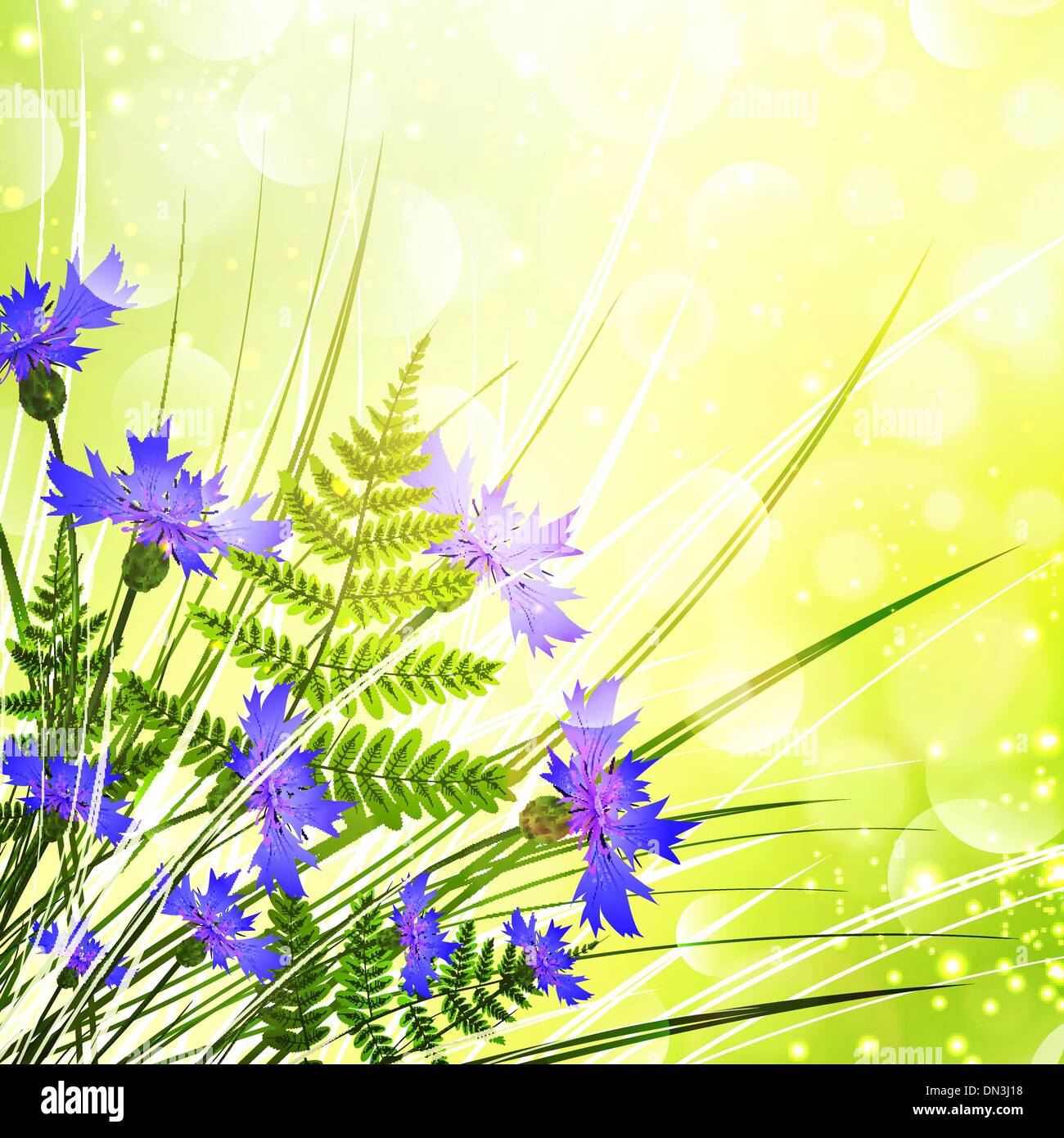 Cornflower vector Stock Vector Images - Alamy