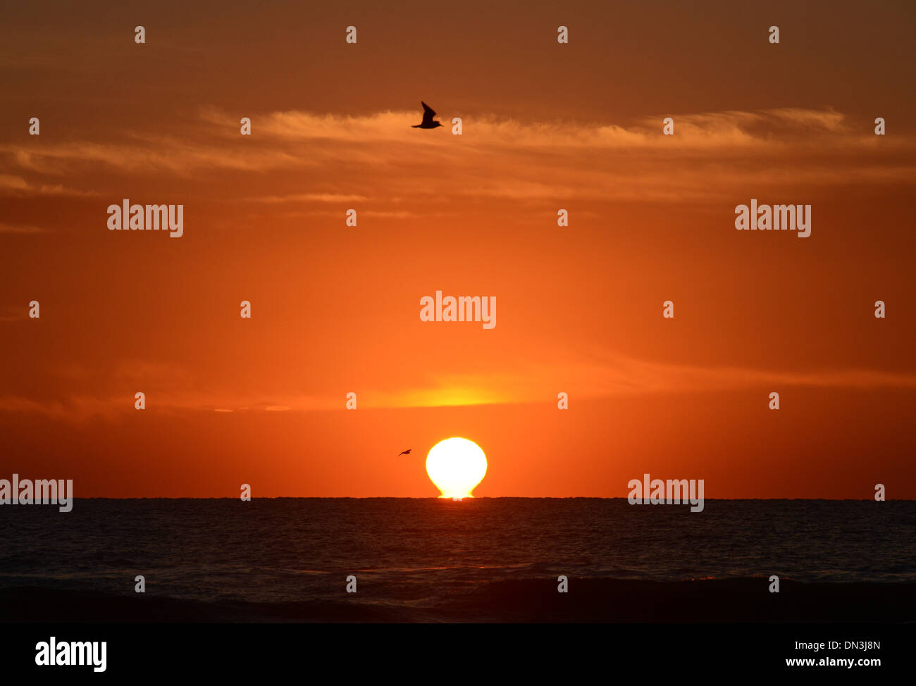 Inferior mirage hi-res stock photography and images - Alamy