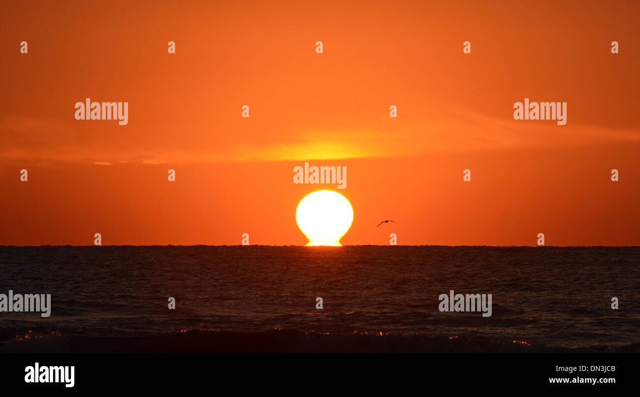 An omega sunset as birds fly, Siesta Key, Florida. The omega shape is ...