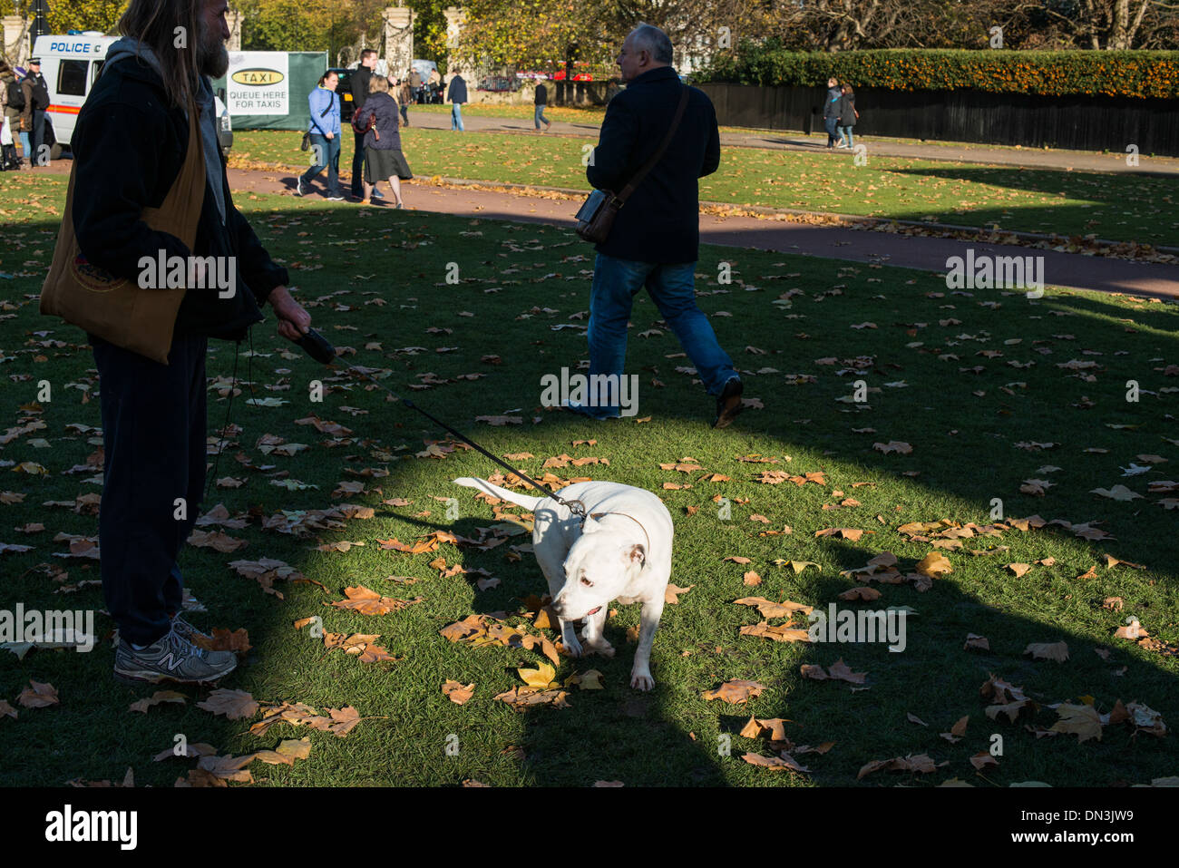 People and their pet dog Stock Photo - Alamy