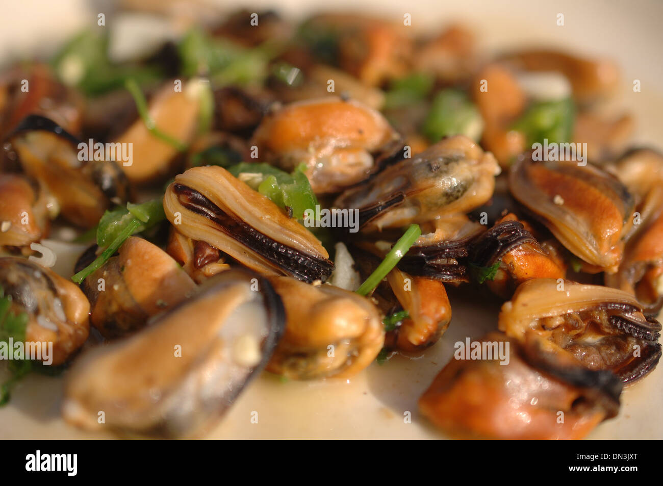 Cornish Mussels freshly picked and cooked Stock Photo - Alamy