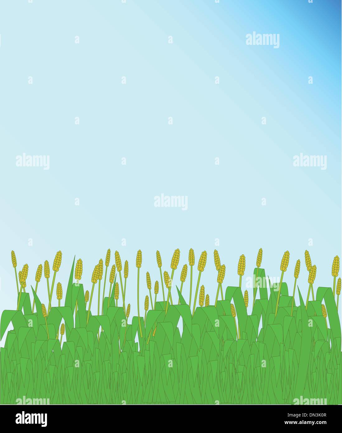 Grass clump Stock Vector Images - Alamy