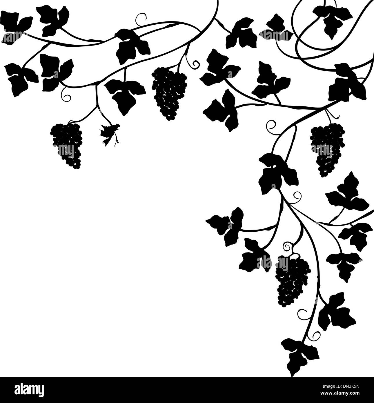 Bunch of grapes vector vectors hi-res stock photography and images - Alamy