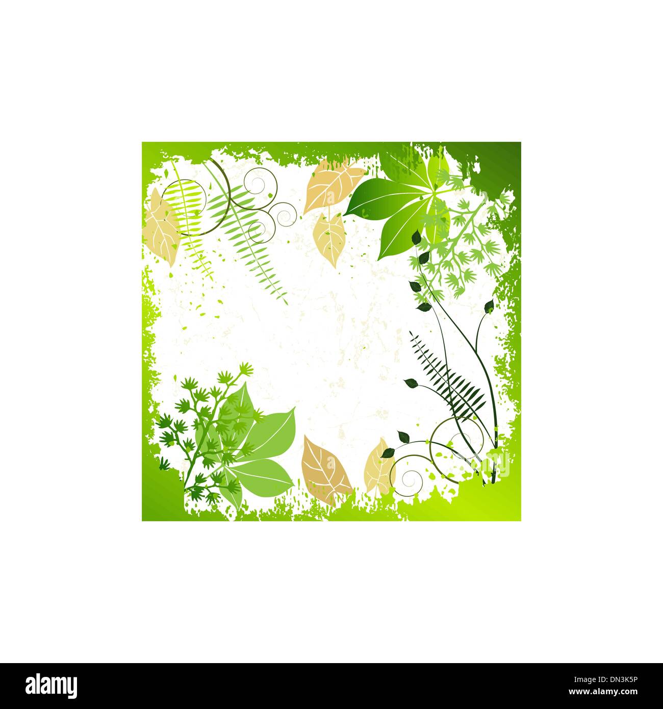 Frame green leaves plants Stock Vector Images - Alamy