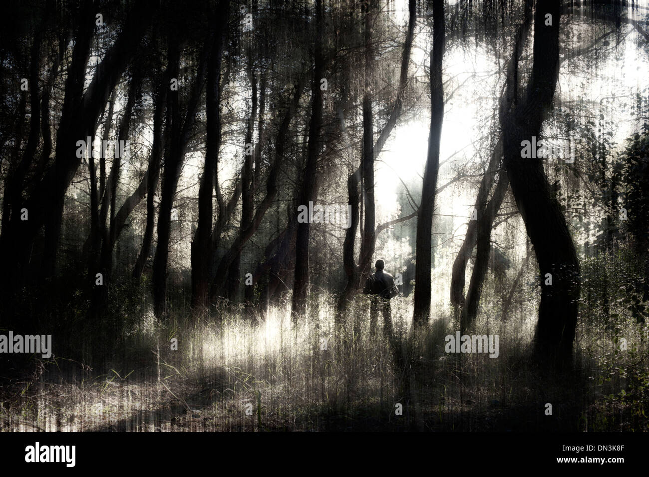 Dark forest man hi-res stock photography and images - Alamy