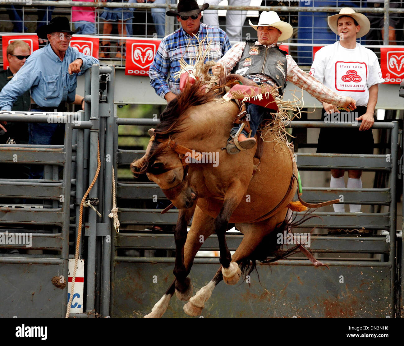 Saddle Bronc Riding High Resolution Stock Photography and Images - Alamy