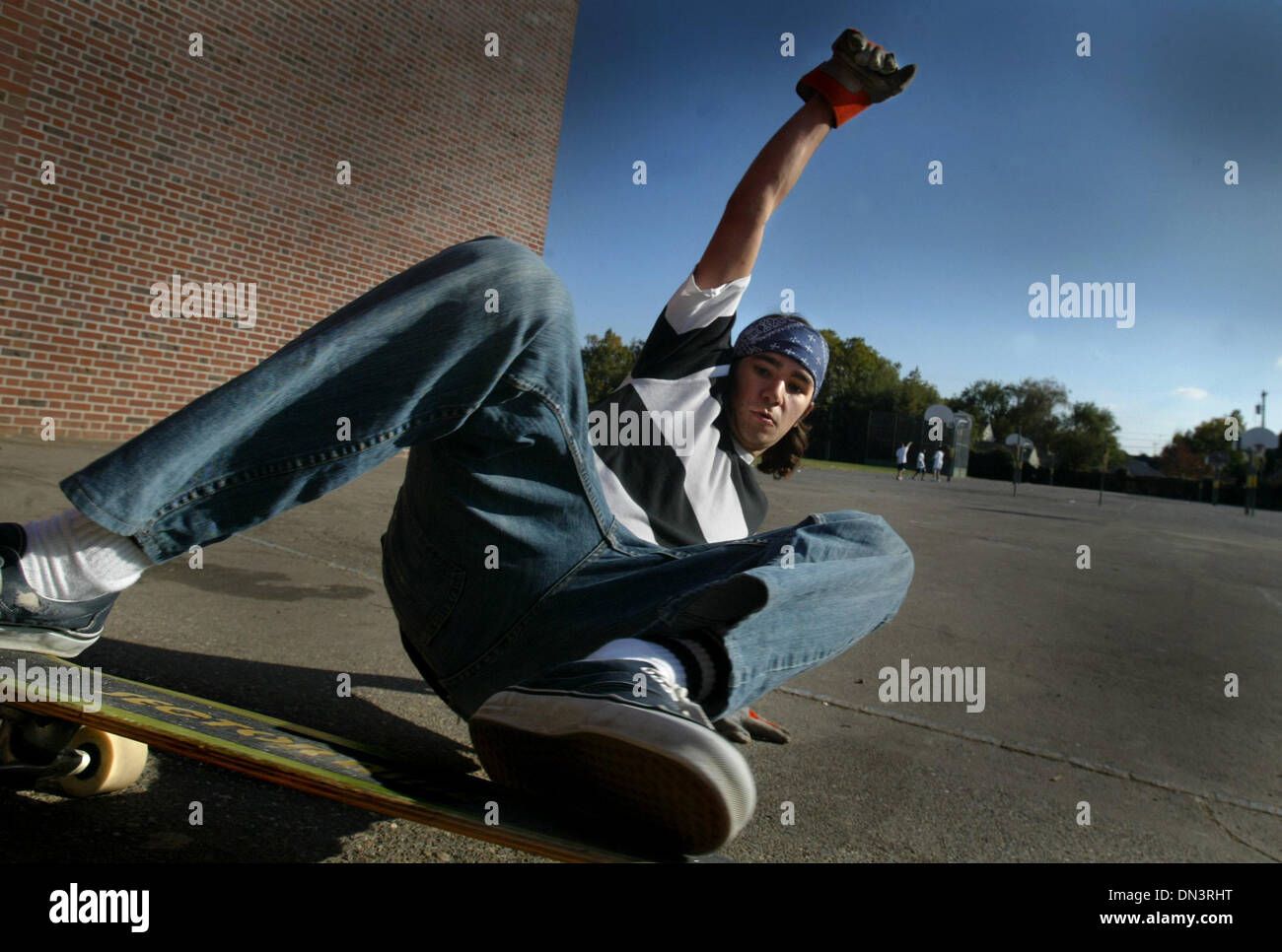 What Is Dogtown California