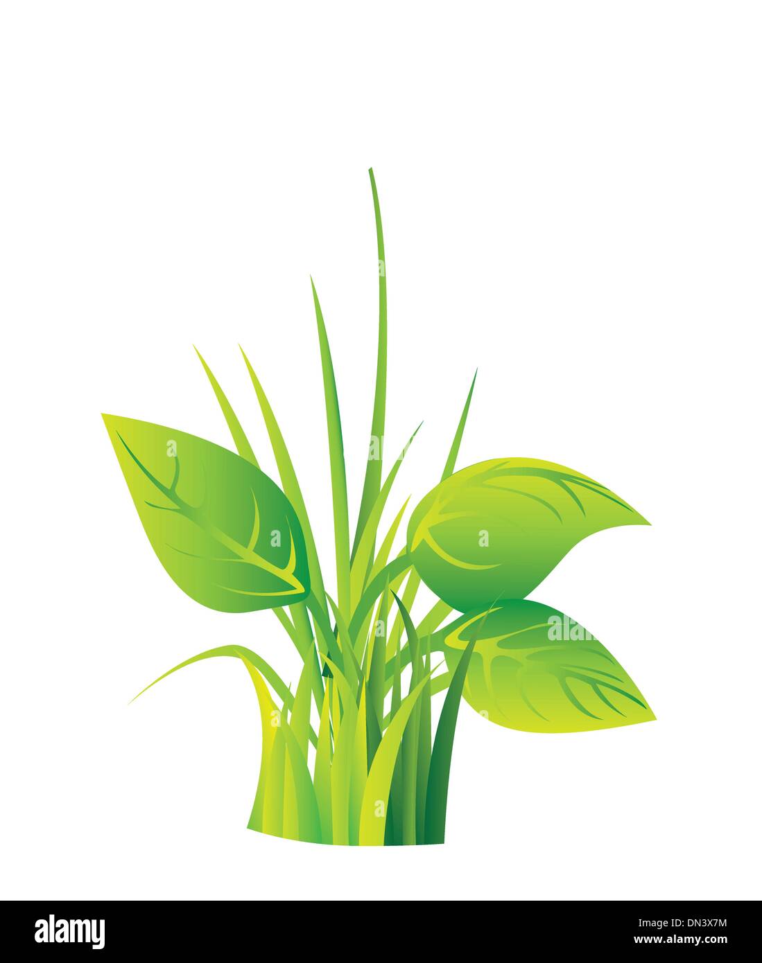 Vector flower composition Cut Out Stock Images & Pictures - Alamy