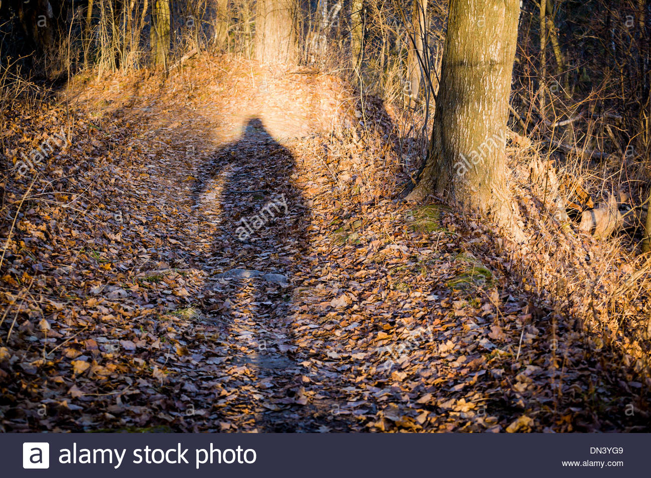 Windigo Stock Photos & Windigo Stock Images - Alamy