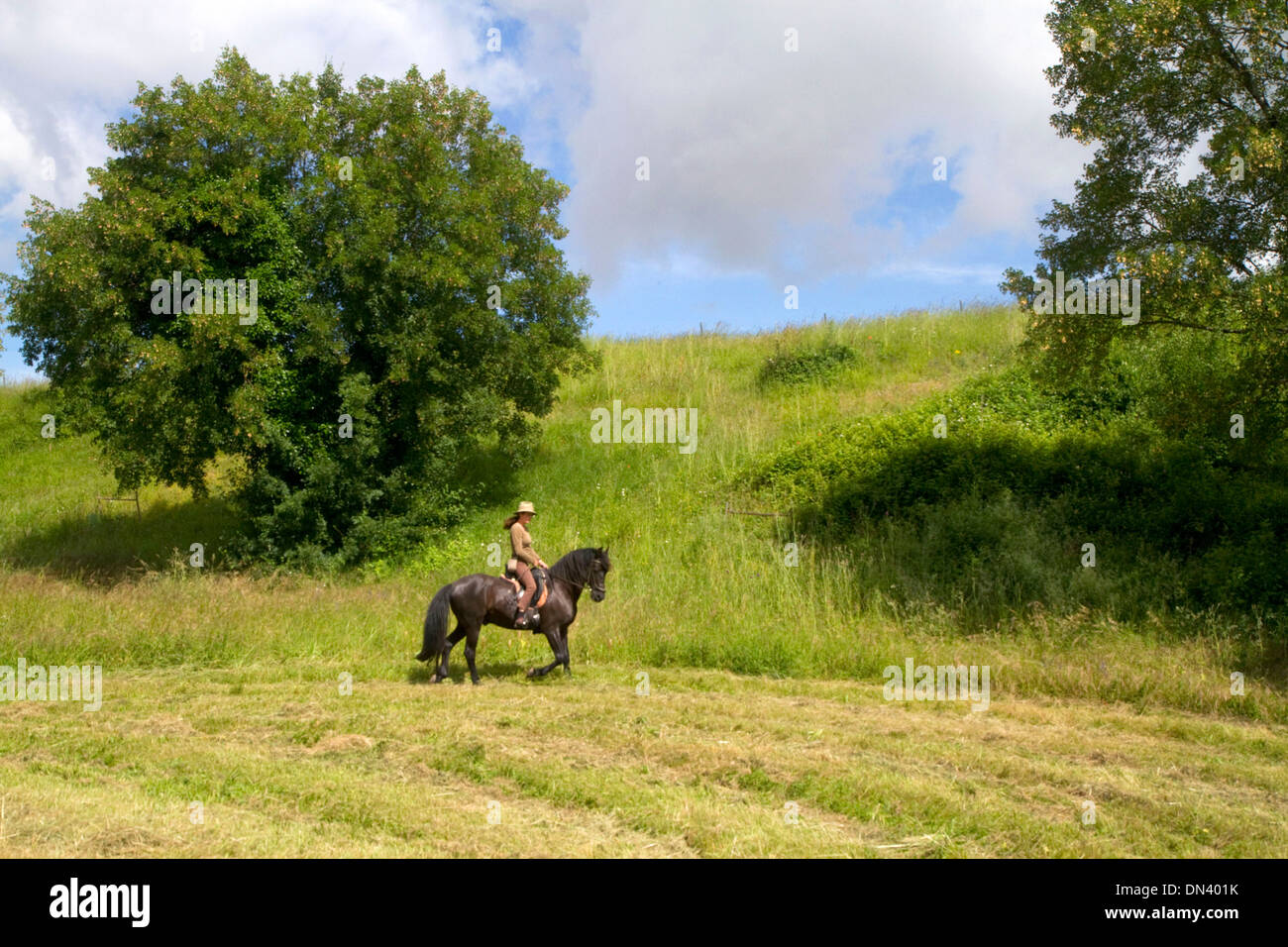 French woman riding her horse on a farm near Angouleme in southwestern ...