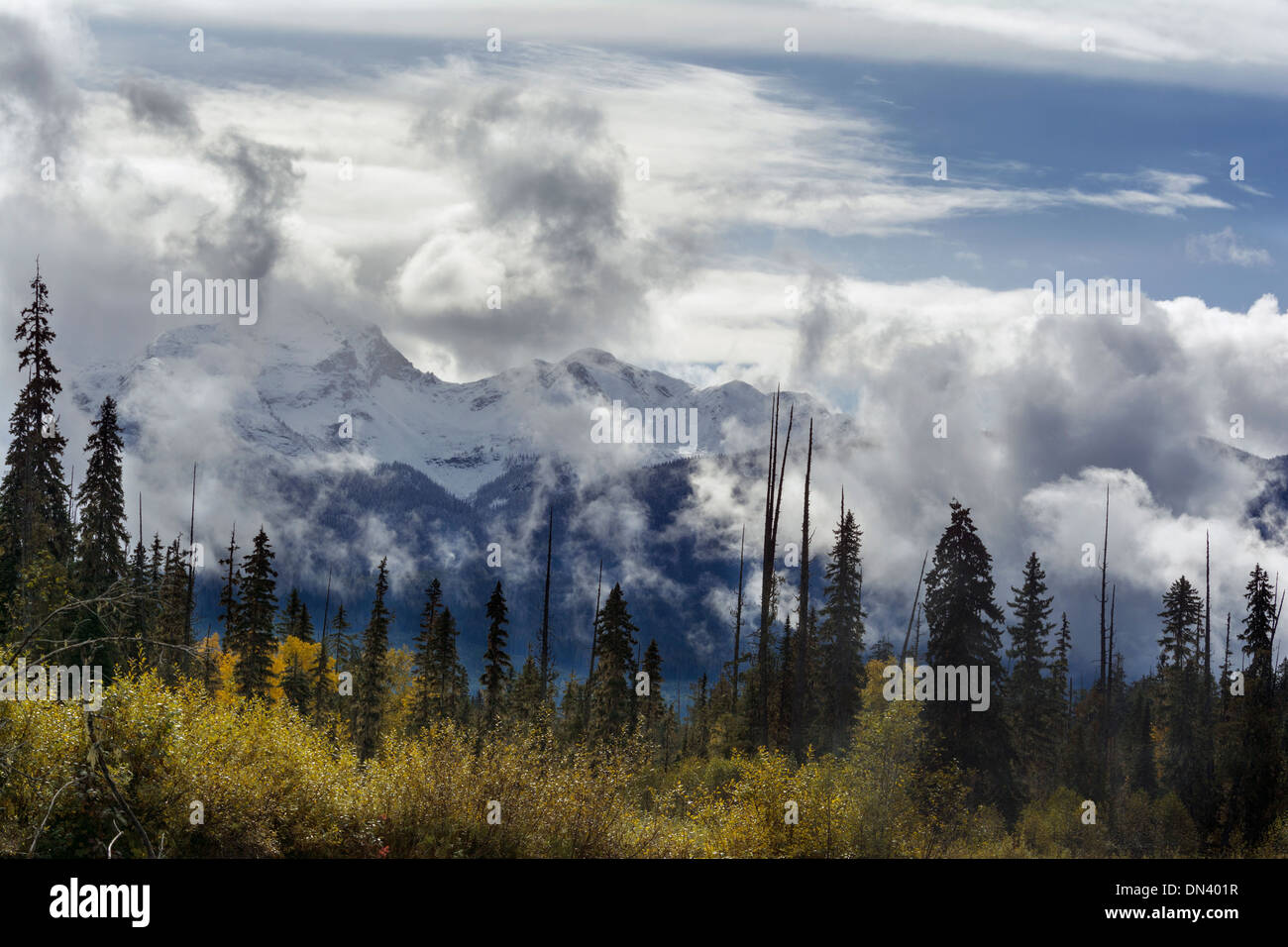 Mitchell river and quesnel lake hi-res stock photography and images - Alamy