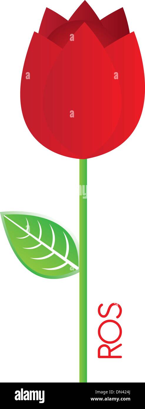 Rose root Stock Vector Images - Alamy