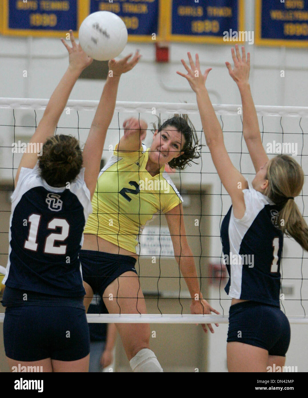 Teresa steele hi-res stock photography and images - Alamy