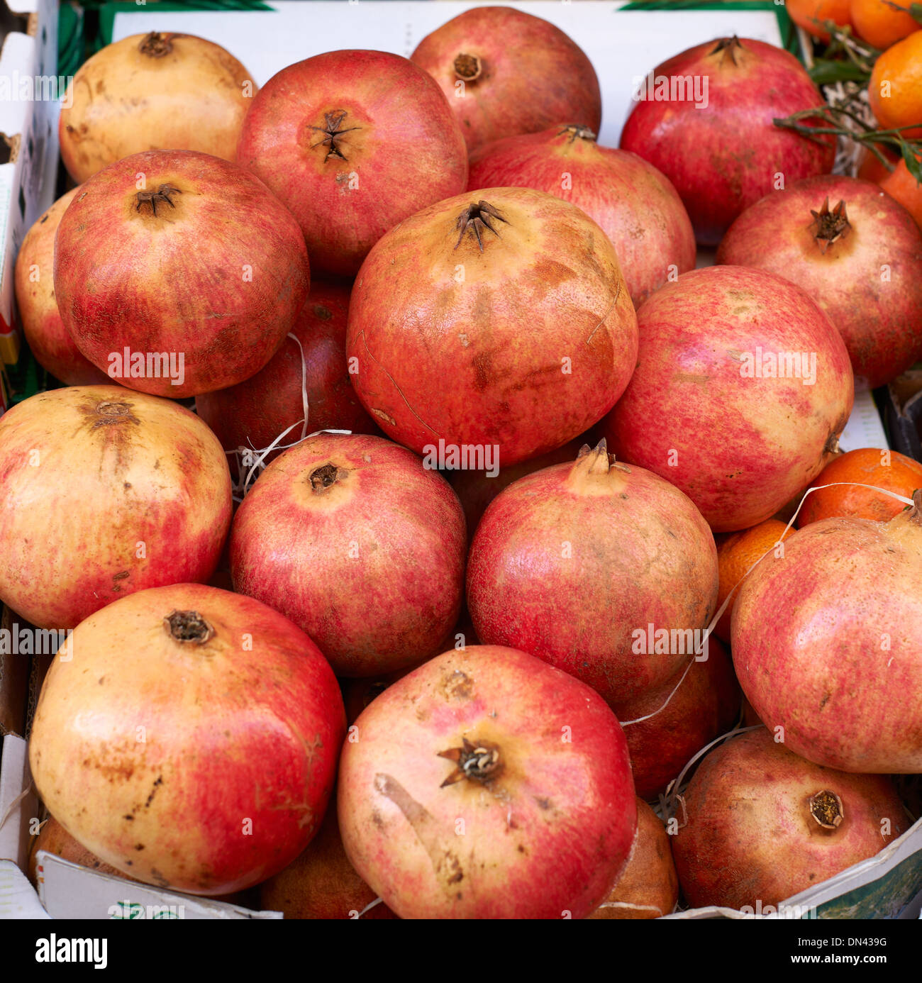 Fresh fruits for sale on Provence market, PACA, France Stock Photo - Alamy