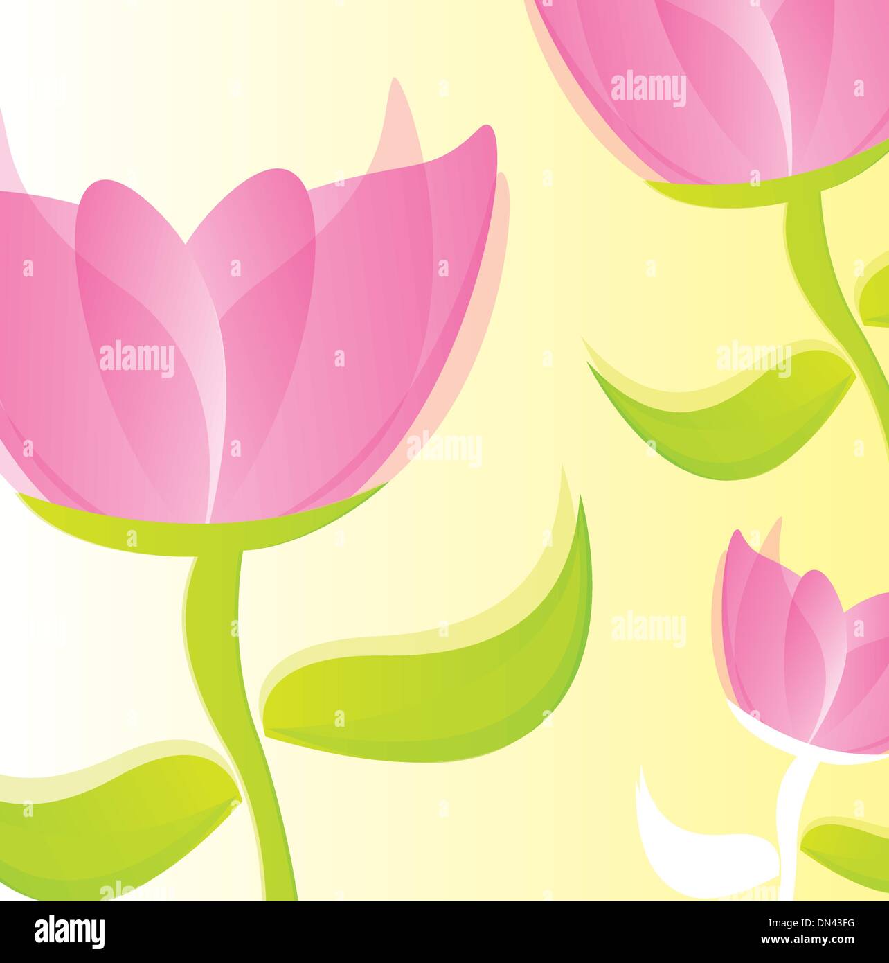 Fragrant rose isolated Stock Vector Images - Alamy