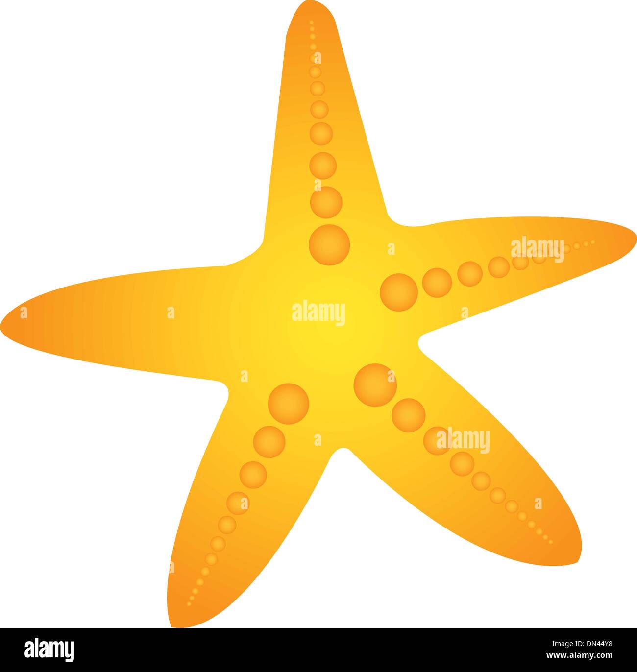 Starfish image Stock Vector Images - Alamy