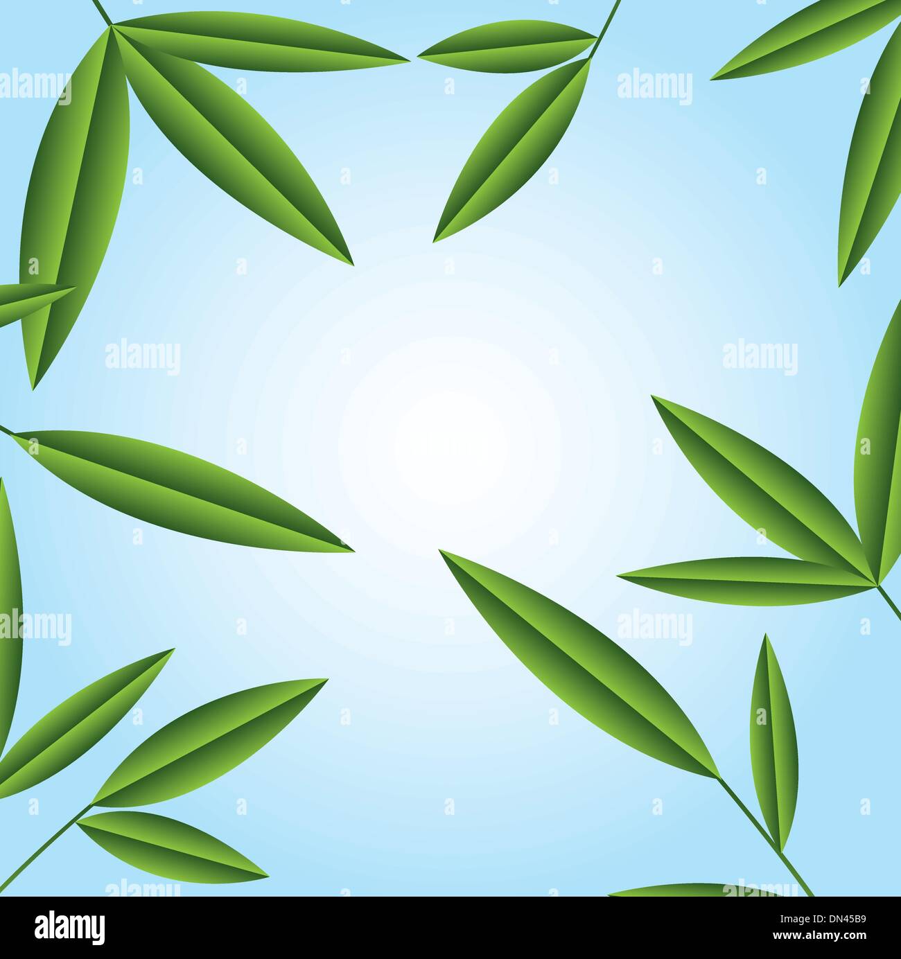 Leaf of the chinese leaves Stock Vector Images - Alamy