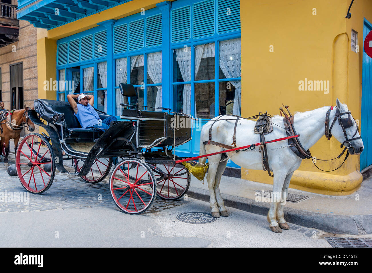 Horse and Carriage, Havana, Cuba Stock Photo - Alamy