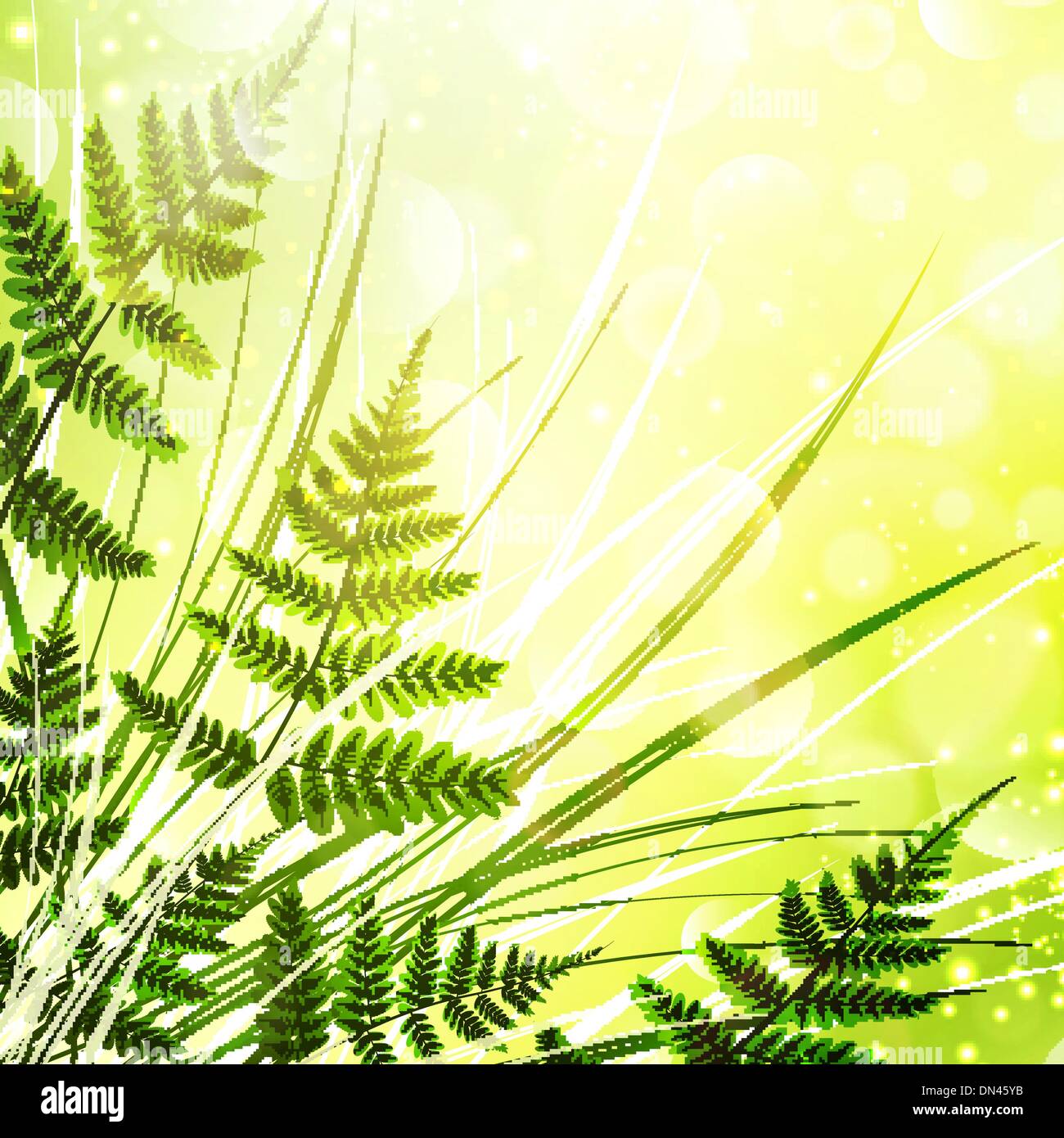 Natural fern fern fern fern Stock Vector Images - Alamy