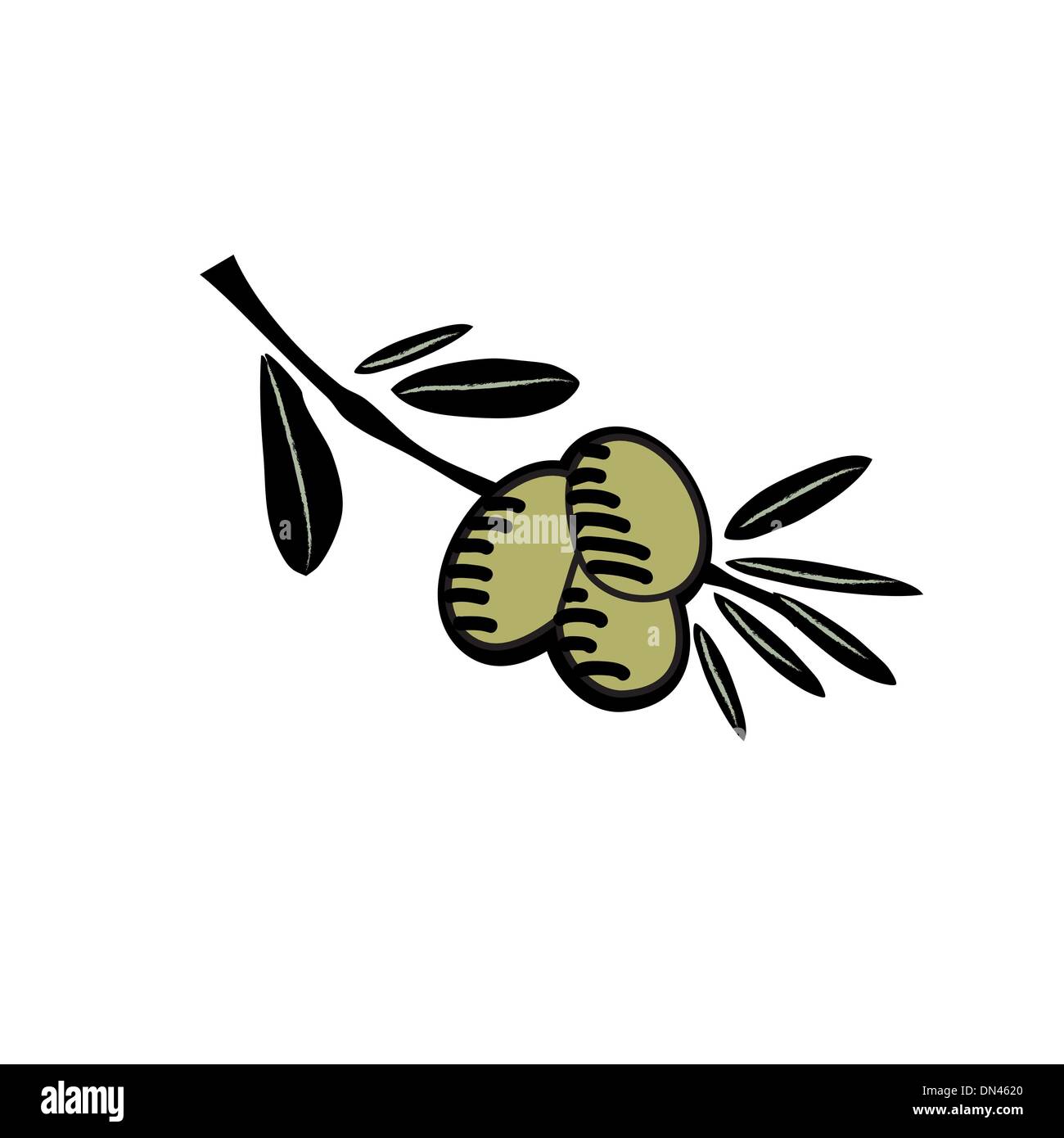 Hand drawn olive green Cut Out Stock Images & Pictures - Alamy