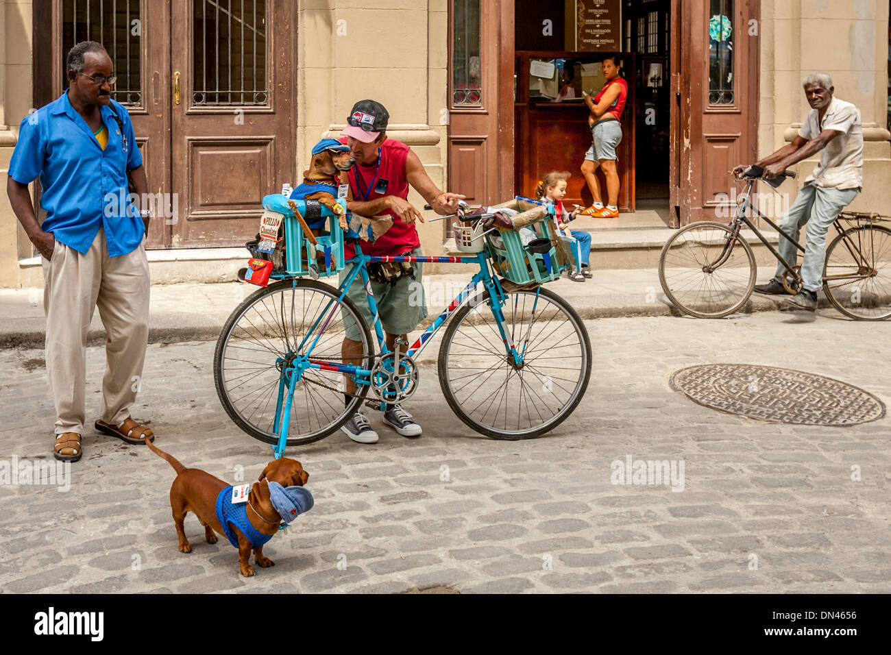 Street entertainer dog dogs havana hi-res stock photography and images ...