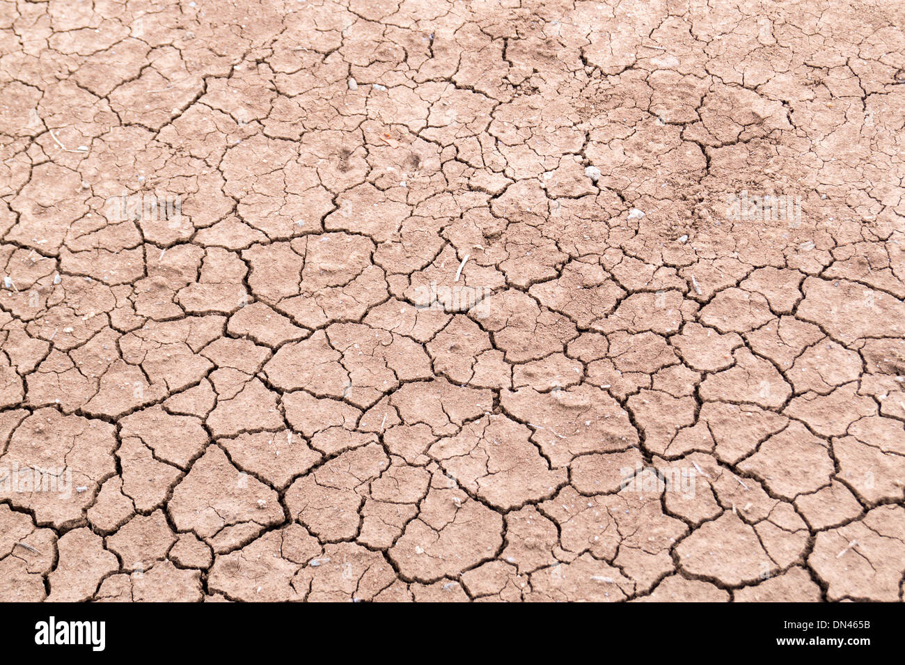 Dry cracked earth background, clay desert texture Stock Photo - Alamy