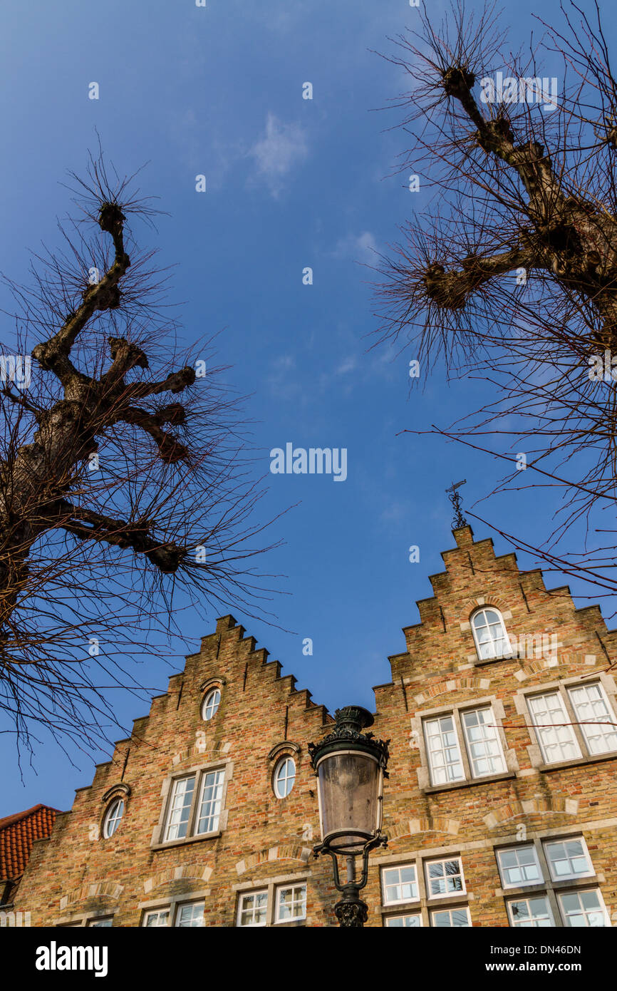 Bare-branched plane trees in front of medieval corbie step brick houses ...