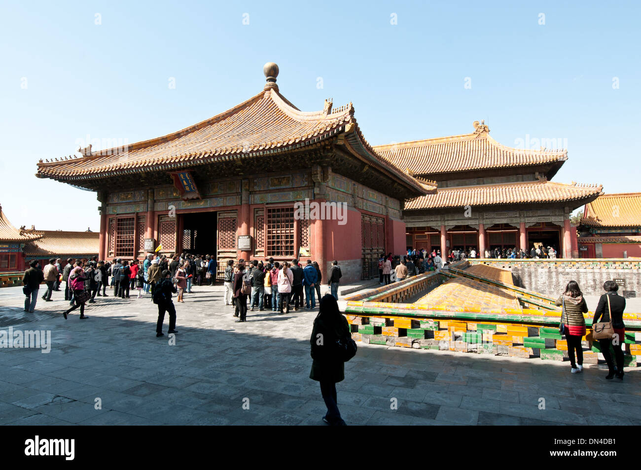 Sacred Trees On The Grounds Of Taiqing Gong Temple