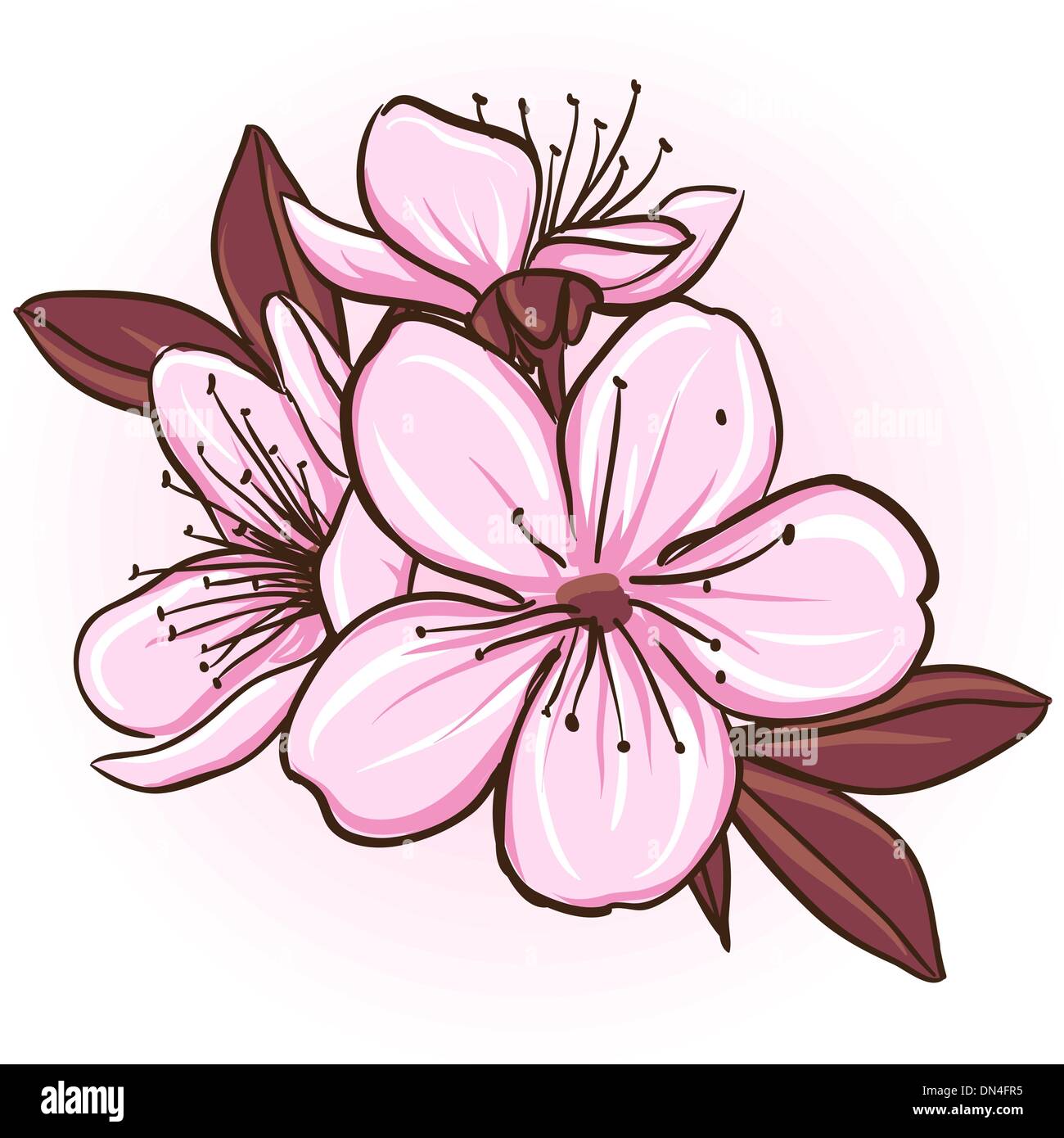 Pink cherry blossom park Cut Out Stock Images & Pictures - Alamy