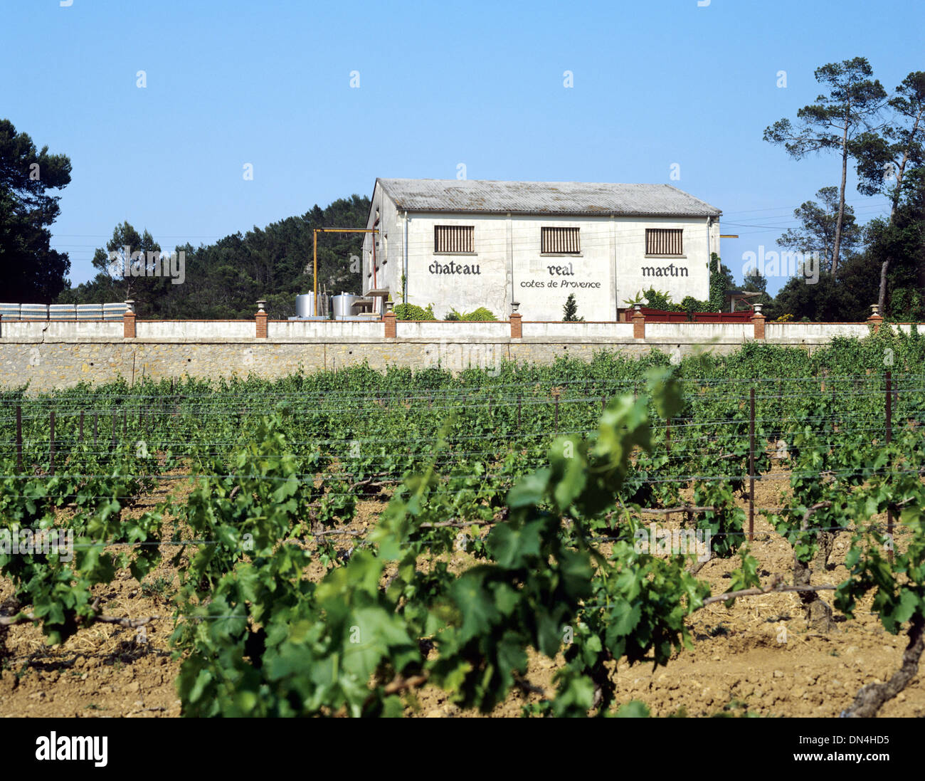 Chateau real martin vineyard hi-res stock photography and images - Alamy