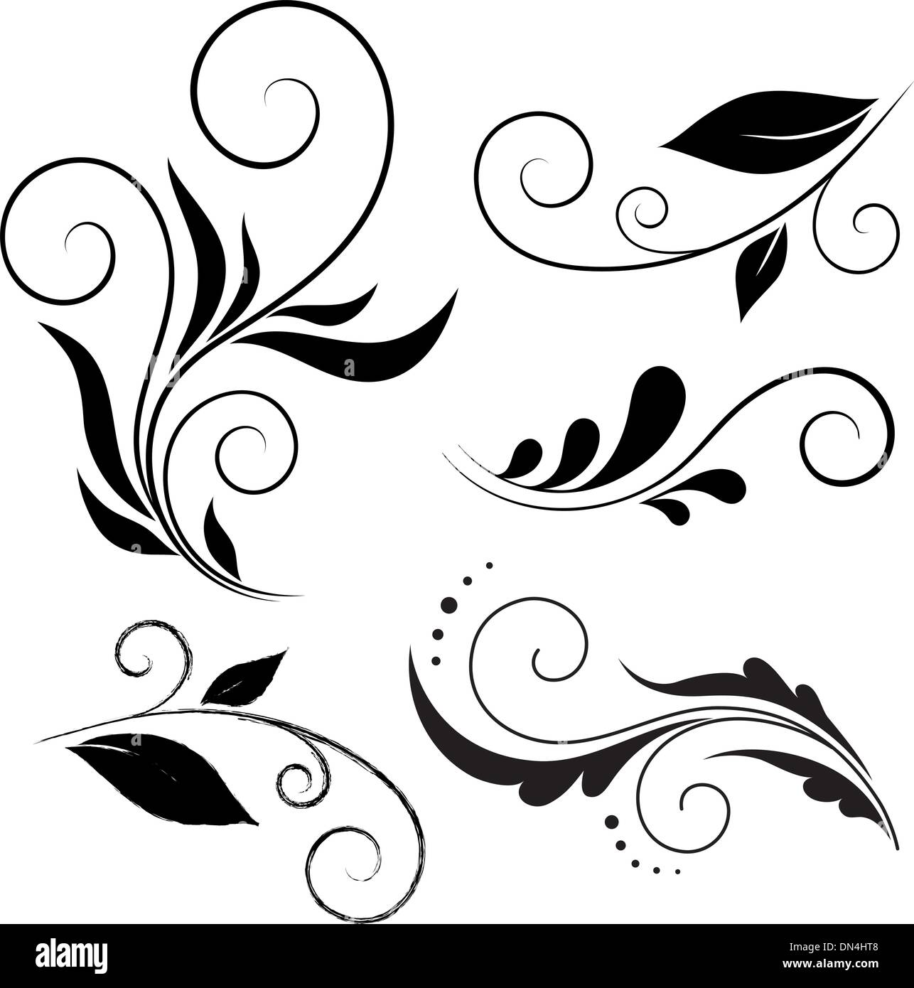 Calligraphic design elements Stock Vector Image & Art - Alamy