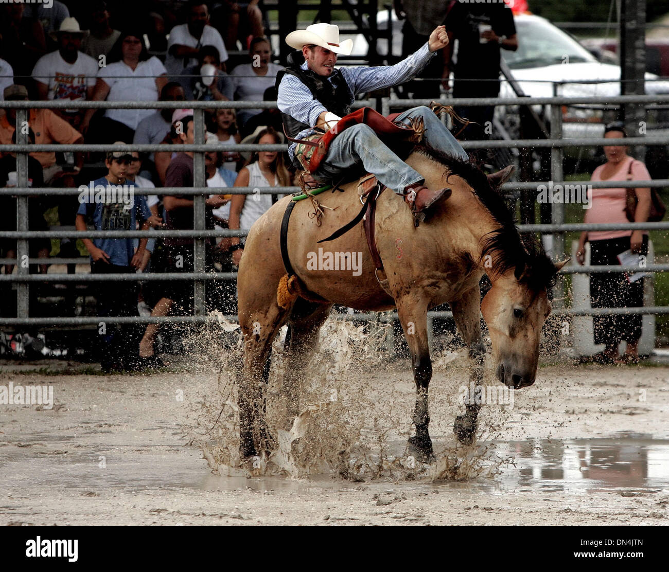 Alabama cattlemens association hi-res stock photography and images - Alamy
