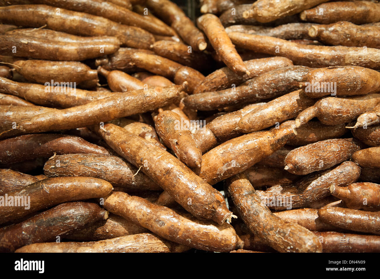 Native taino hi-res stock photography and images - Alamy