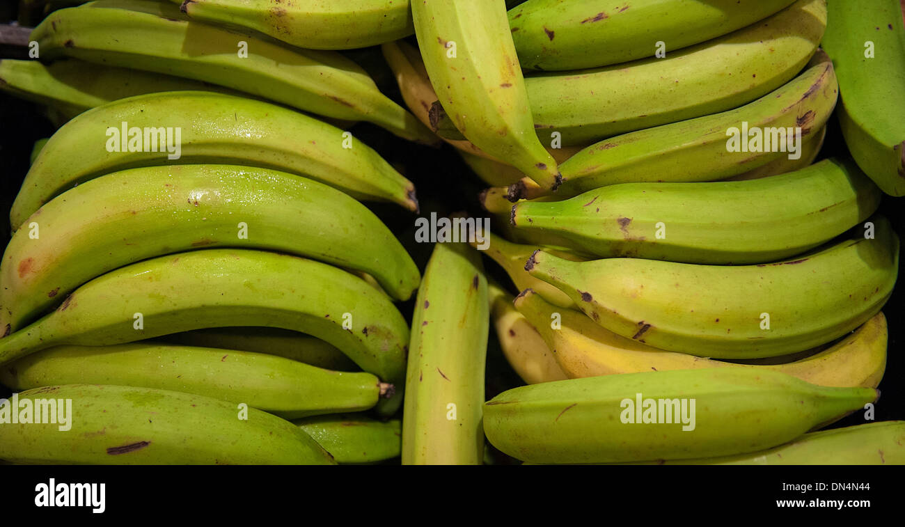 Plantain is cooked before eating as accompaniment similar to potato ...
