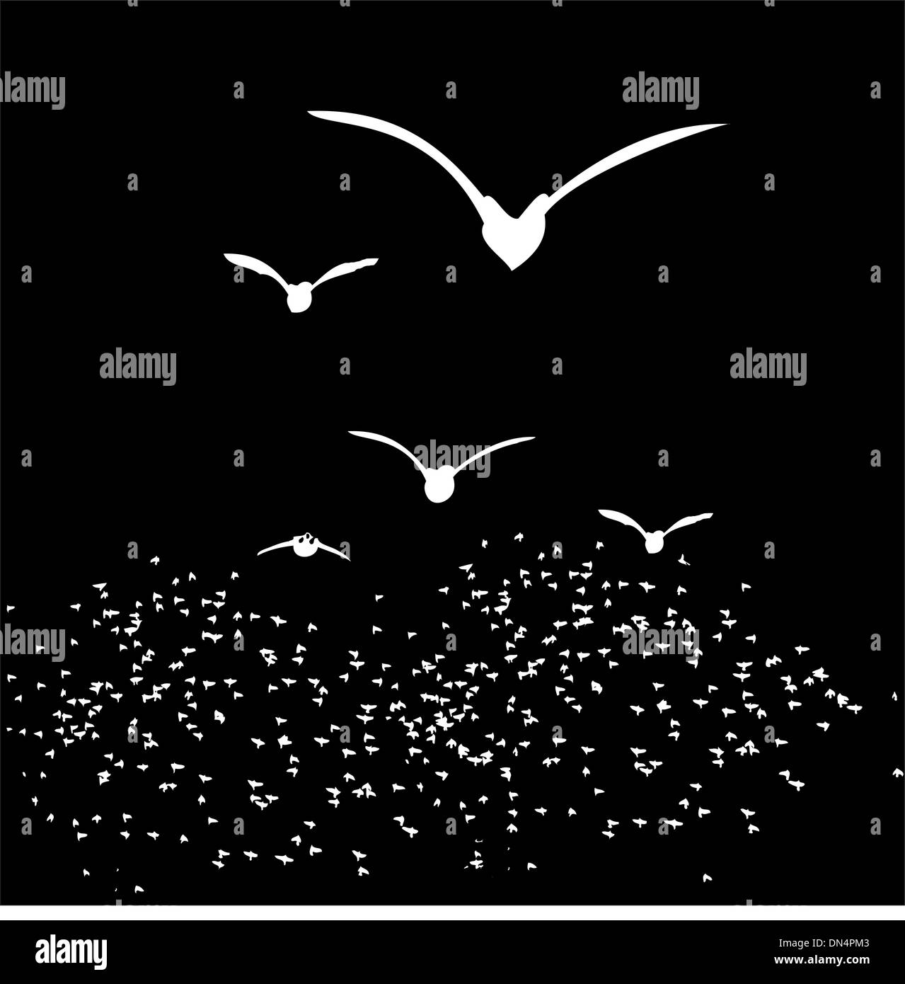 black background birds life vector art Stock Vector Image & Art - Alamy